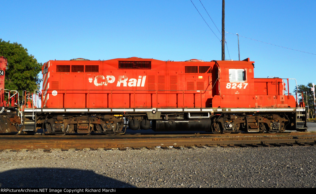 CP 8247